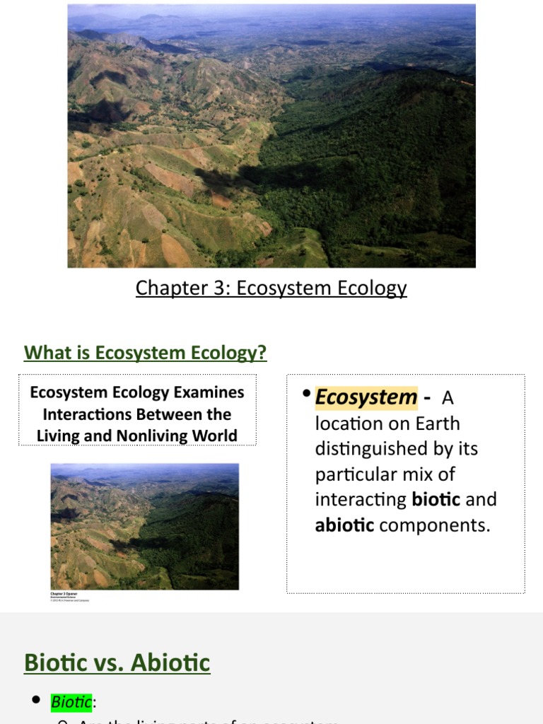 Ecosystem Types and Interactions | PDF | Food Web | Ecosystem