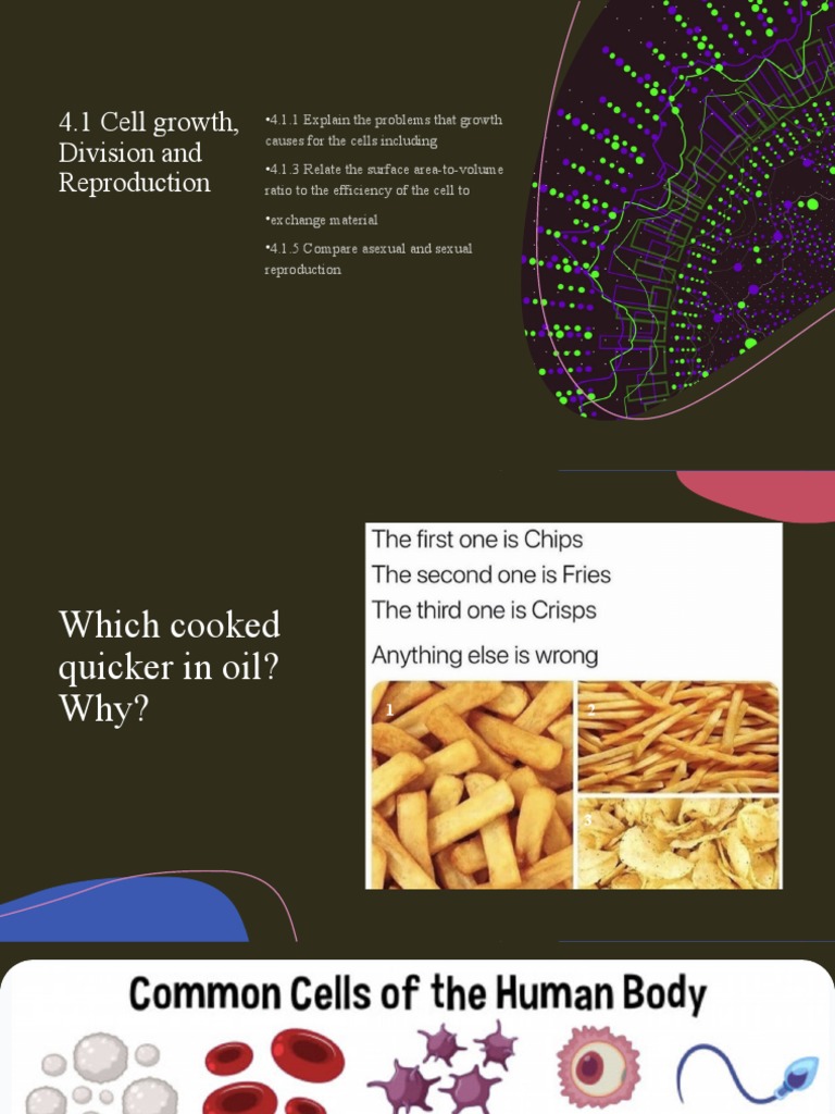 Cell Growth, Division and Reproduction | PDF