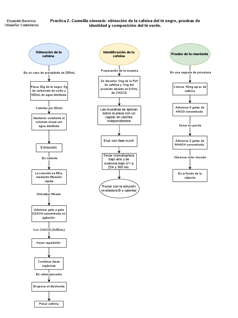 Practica 2. Te negro.drawio | PDF
