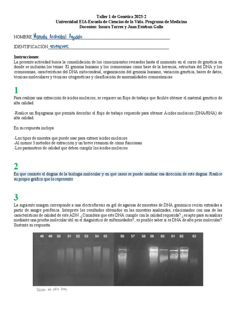 Taller 1 de Genã©tica 2023-2 - Agosto 22 2023 | PDF | Adn | Hibridación in situ fluorescente