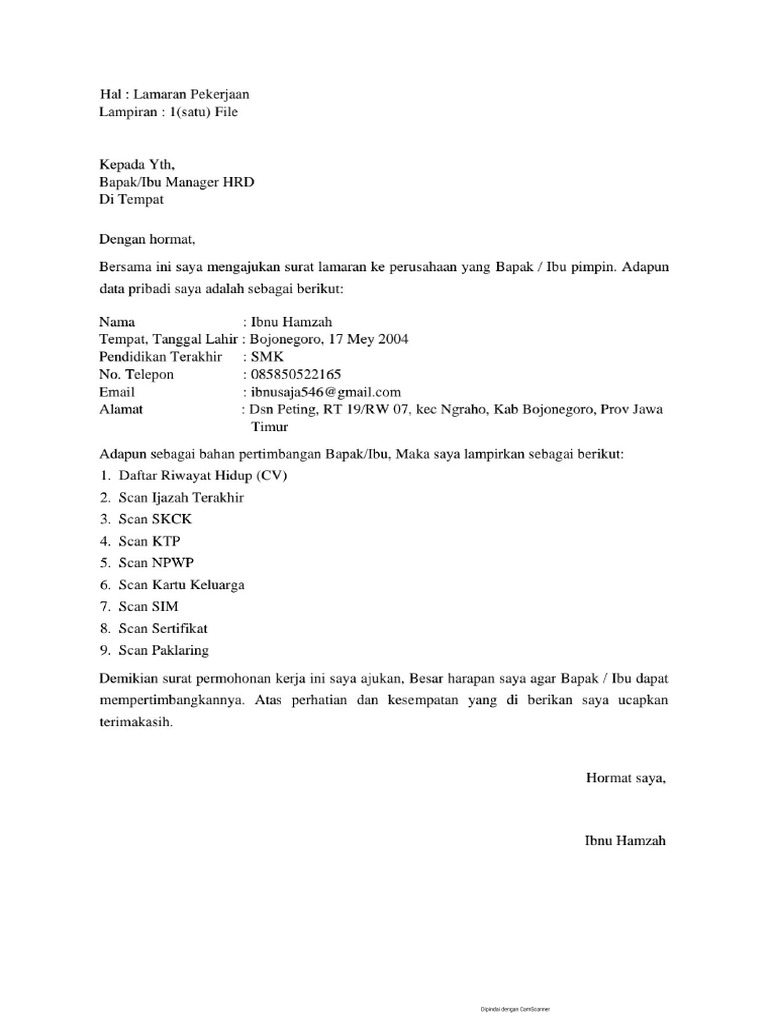 CV Lengkap Ibnu Hamzah - Operator Excavator | PDF