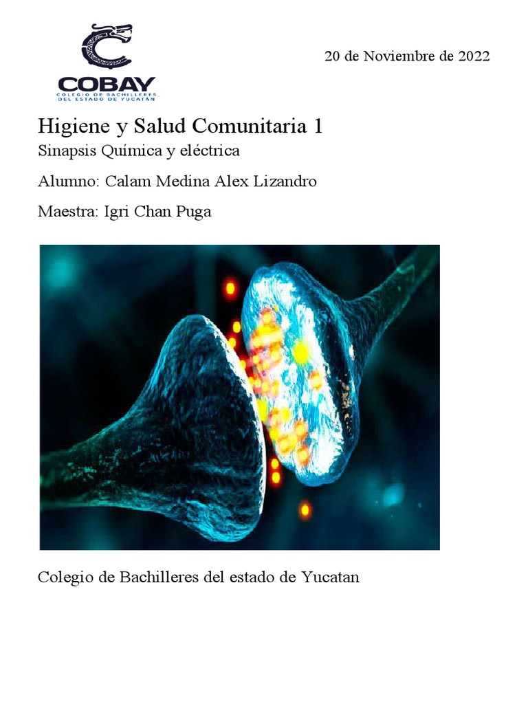 Ensayo Higiene y Salud Comunitaria CMAL | PDF | Sinapsis | Sinapsis química