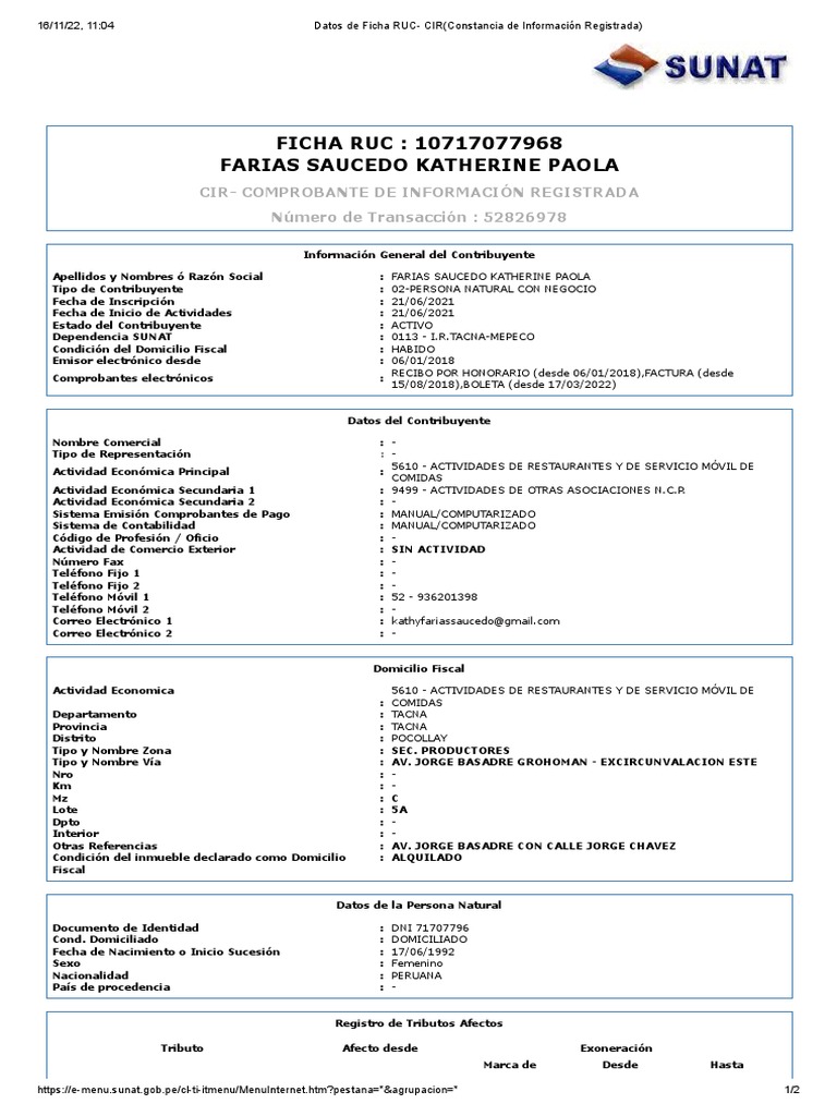 Ruc Actualizado | PDF | Industrias de servicio