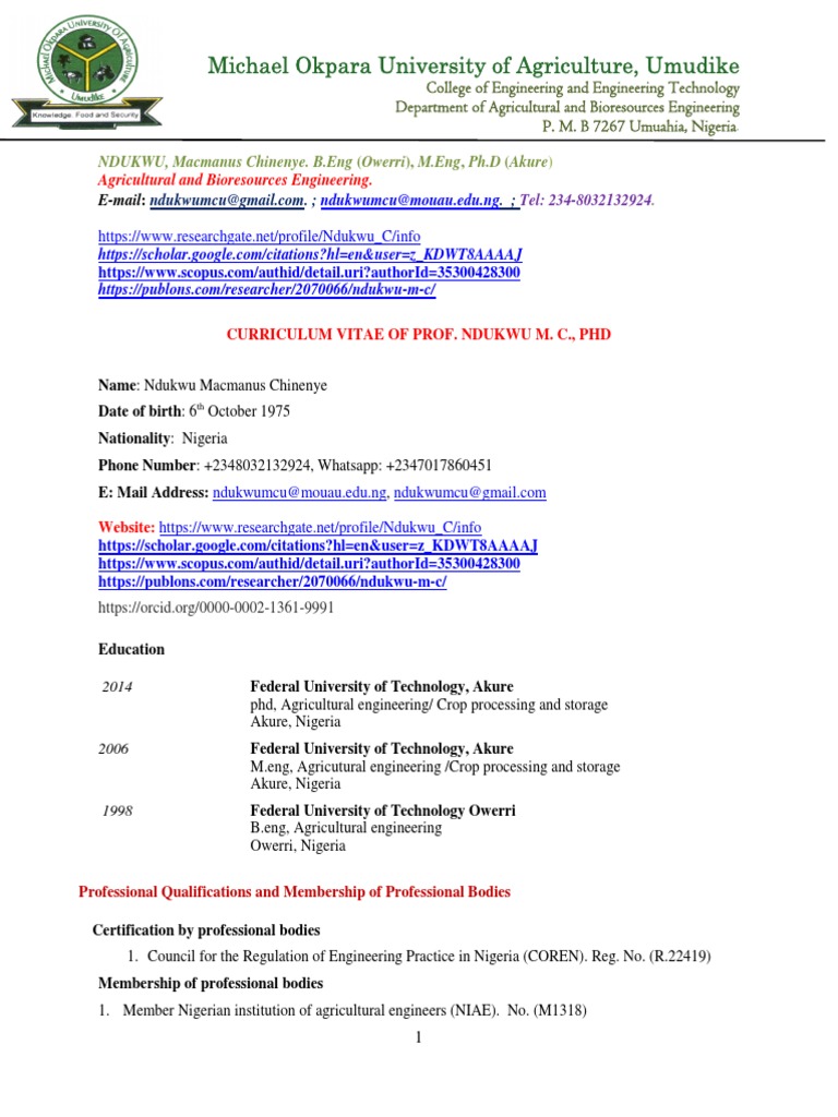 NDUKWU CV Updated Edited | PDF | Exergy | Solar Energy