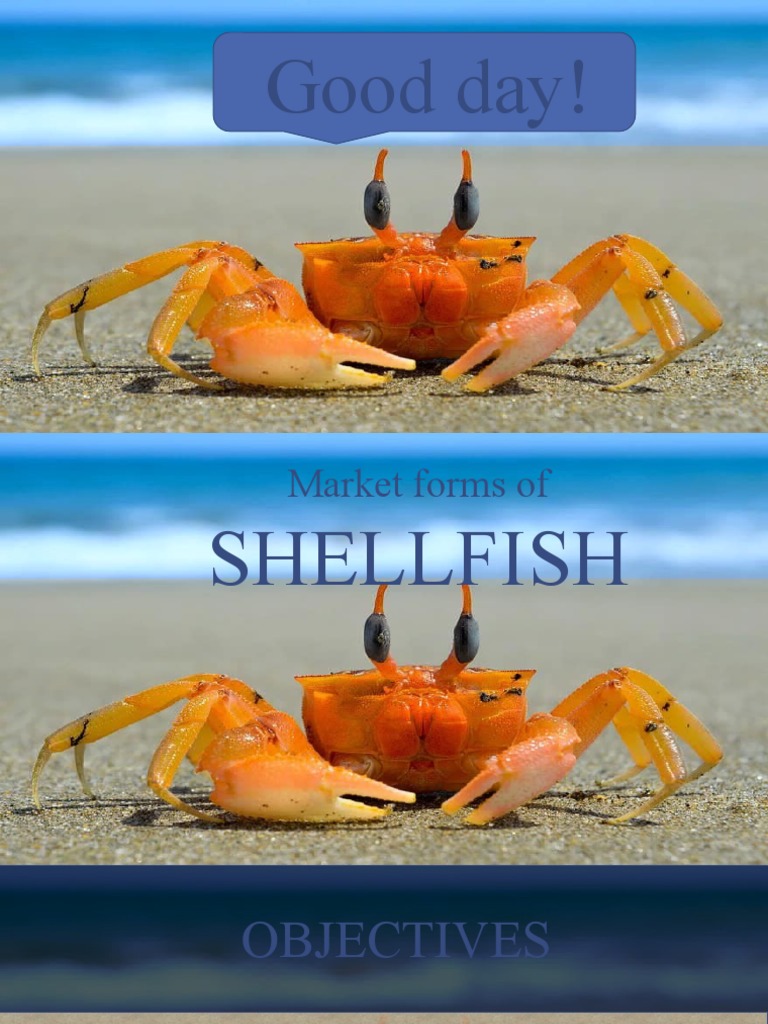 Understanding Shellfish Market Forms | PDF | Crustacean | Mollusca