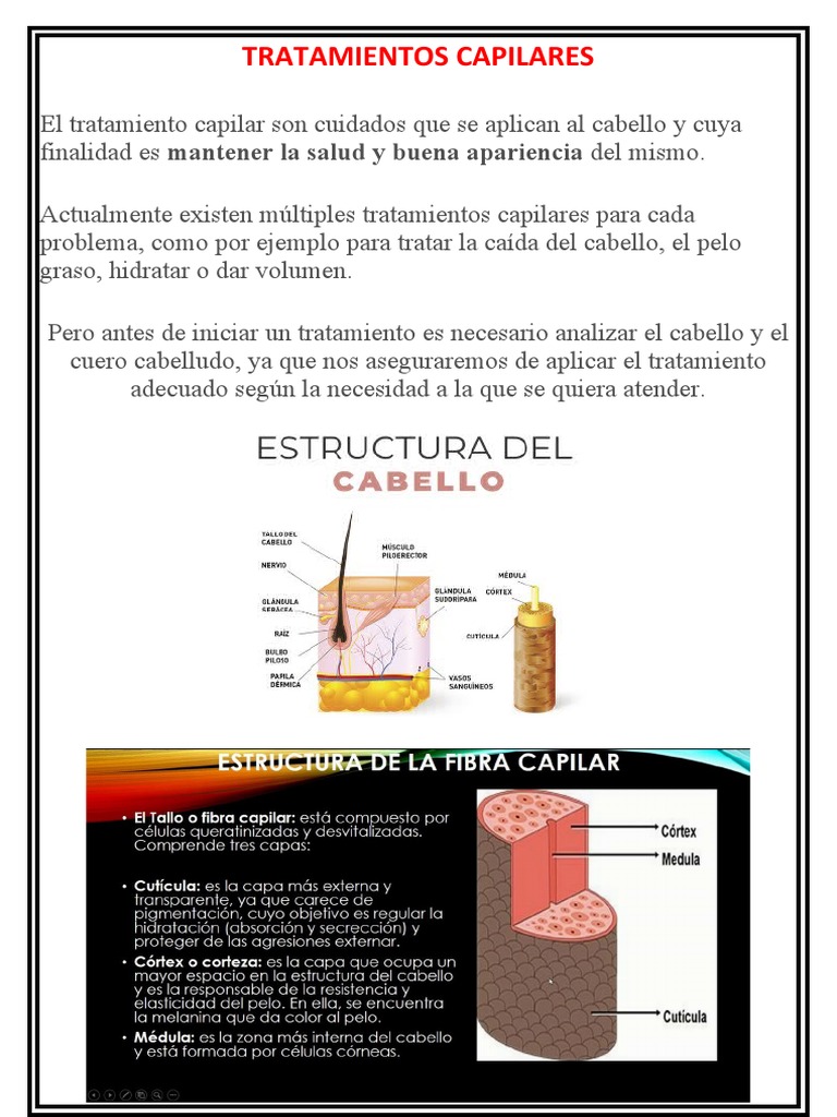Tratamientos Capilares | PDF | Pelo | Anatomía