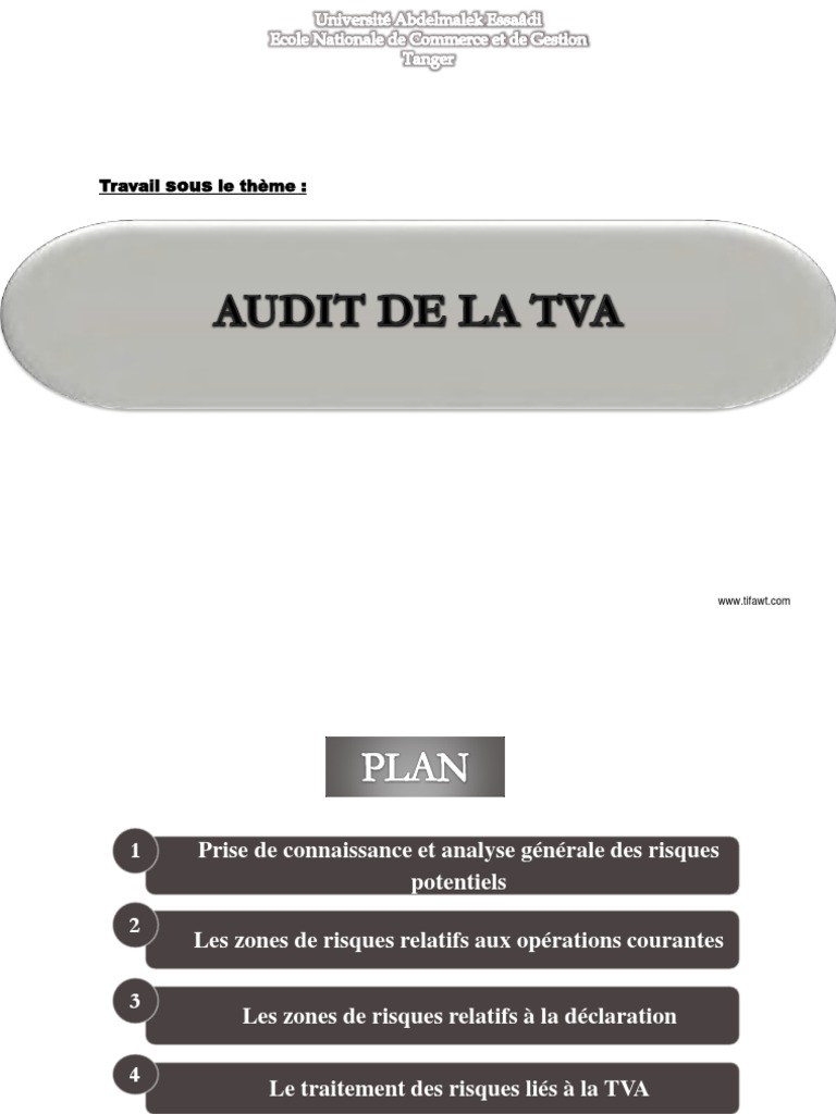 Audit de La TVA | PDF | Taxe sur la valeur ajoutée | Immobilisations