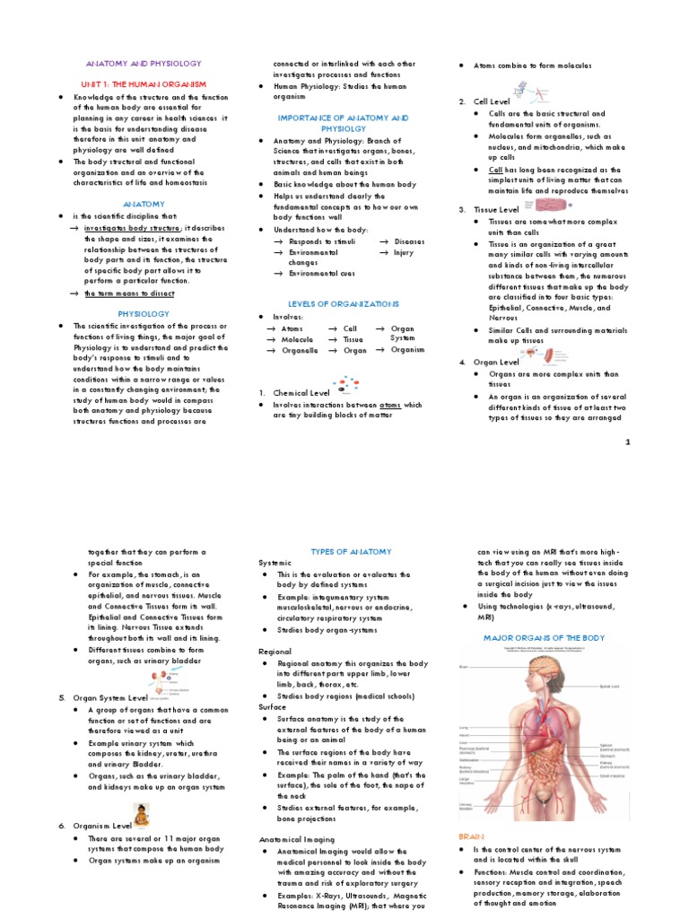 ANATOMY-AND-PHYSIOLOGY | PDF