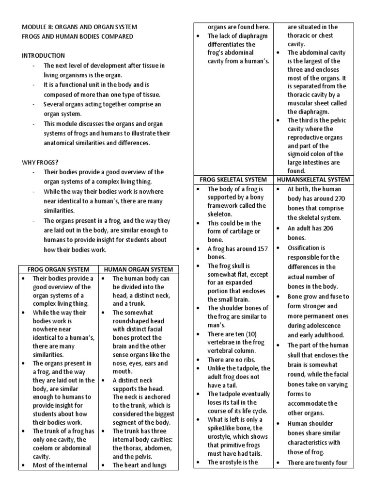 Mod 8 Zoo | PDF | Ear | Atrium (Heart)