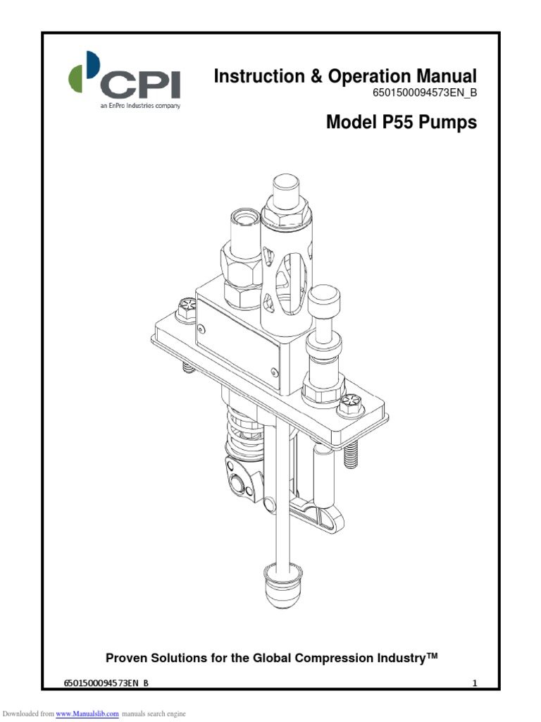 Instruction & Operation Manual Model P55 Pumps: Proven Solutions For ...