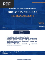 Zimogenos o Proenzimas | PDF | Salud y bienestar
