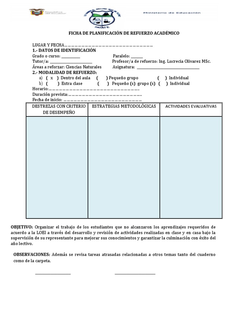 Formato para Plan de Refuerzo | PDF