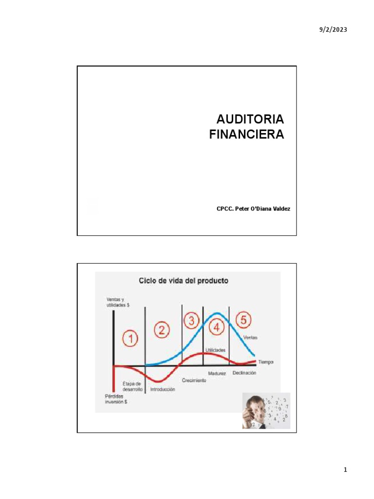 AF_Ciclos de Ingresos y Egresos | PDF | Industrias de servicio ...
