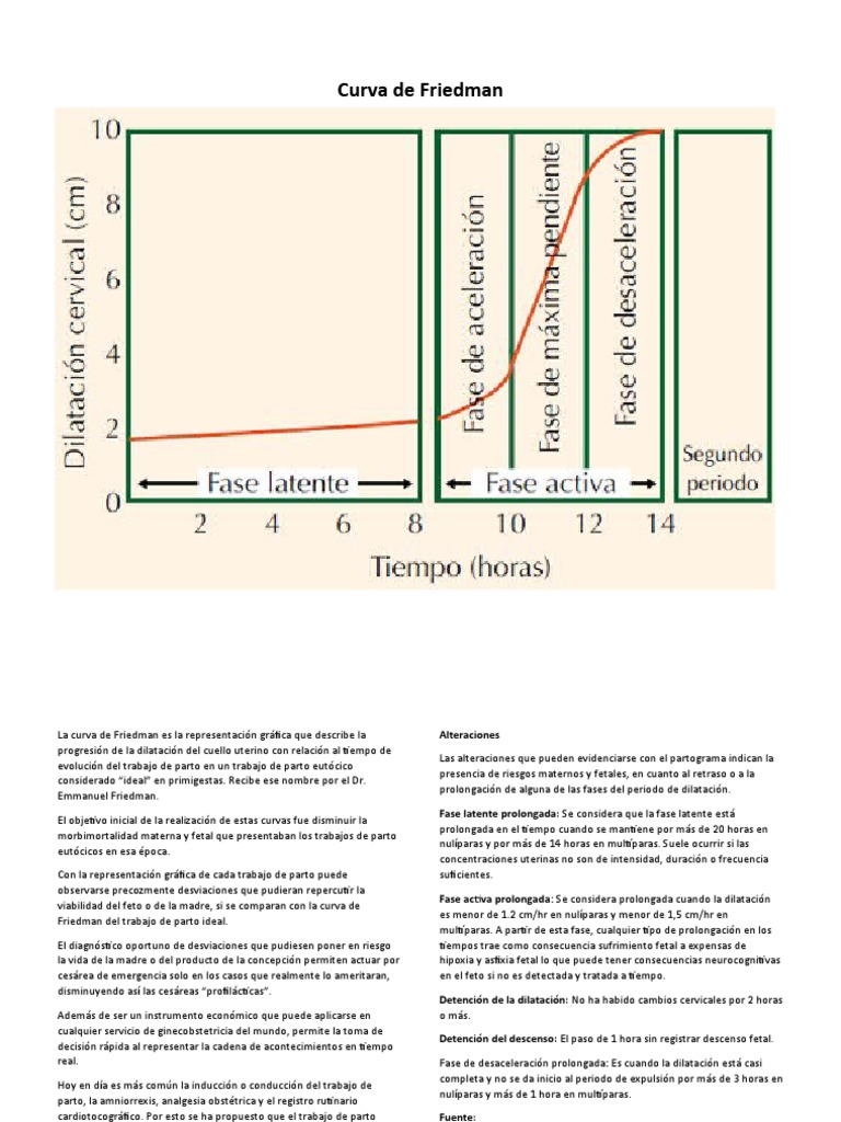 5.3.3.PARTO TYA Curva de Friedman | Descargar gratis PDF | Parto | Salud maternal