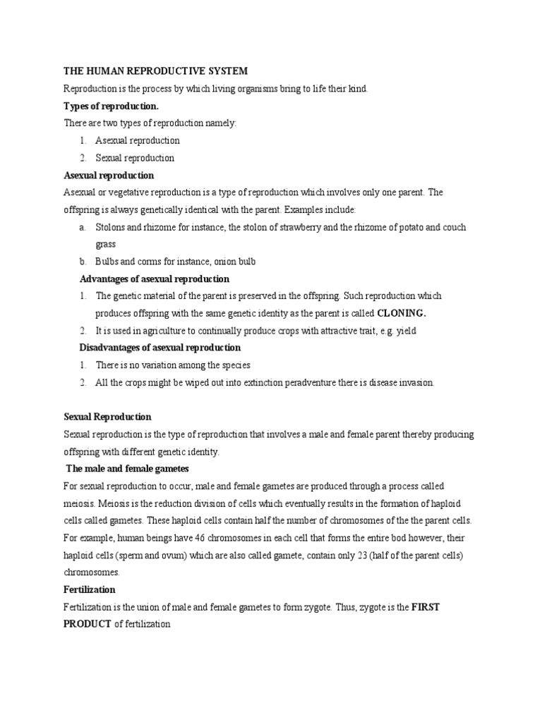 Yr 8 WK 2 Bio Note | PDF | Sexual Reproduction | Reproductive System