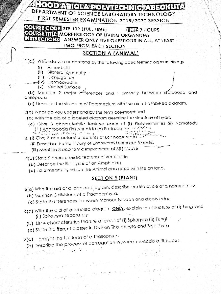 STB 112. 2019 - 20 Answer - LQ - Image - Only | PDF