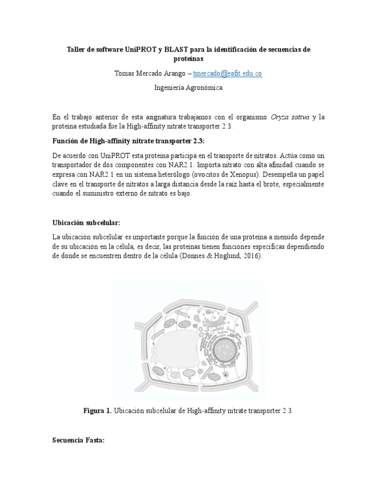 Identificación de proteínas con UniPROT y BLAST | PDF | Ciencia y ...