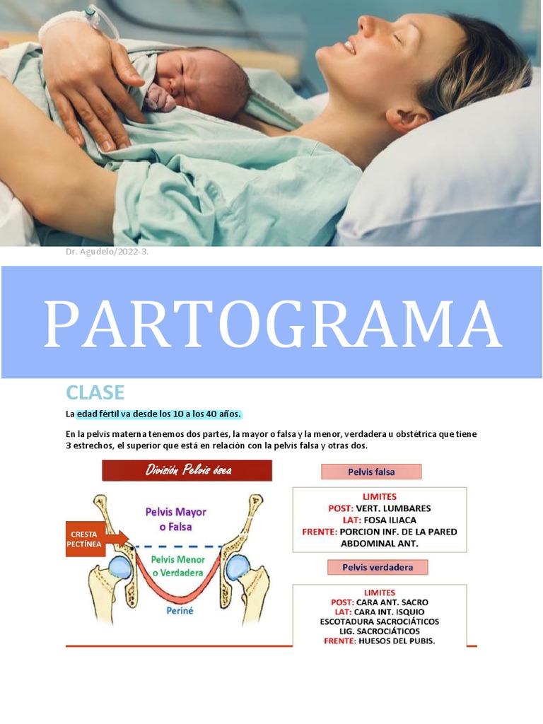 Partograma | PDF | Parto | Pelvis