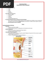 Fundus Diagram Drawing Guide | PDF | Retina | Human Eye