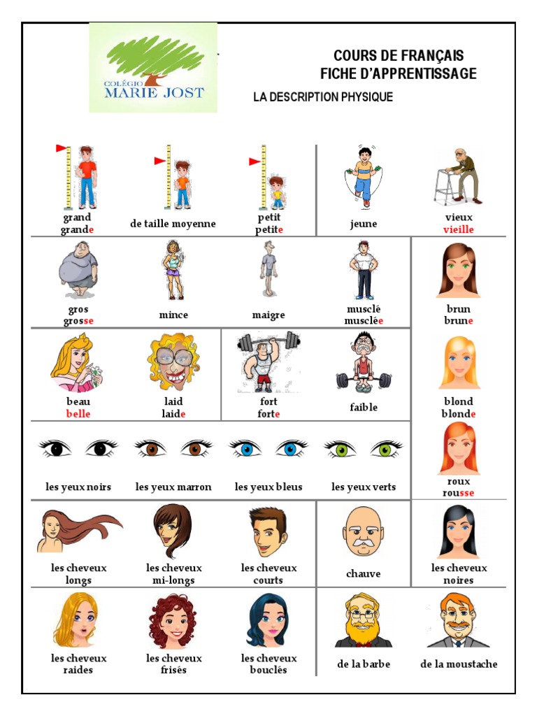 La Description Physique | PDF