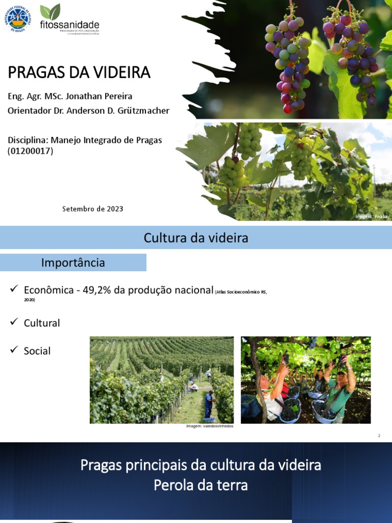 Jonathan Perera - Pragas Da Videira | PDF