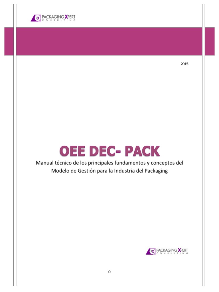 Manual DEC BOLSAPAC | PDF | Informática | Tecnología