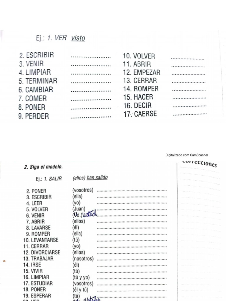 Pretérito Perfecto Compuesto - Ejercicios | PDF