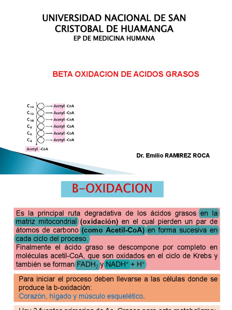PPT5. Beta Oxidacion | PDF | Trifosfato de adenosina | Dieta y nutrición PPT5. Beta Oxidacion | PDF | Trifosfato de adenosina | Dieta y nutrición