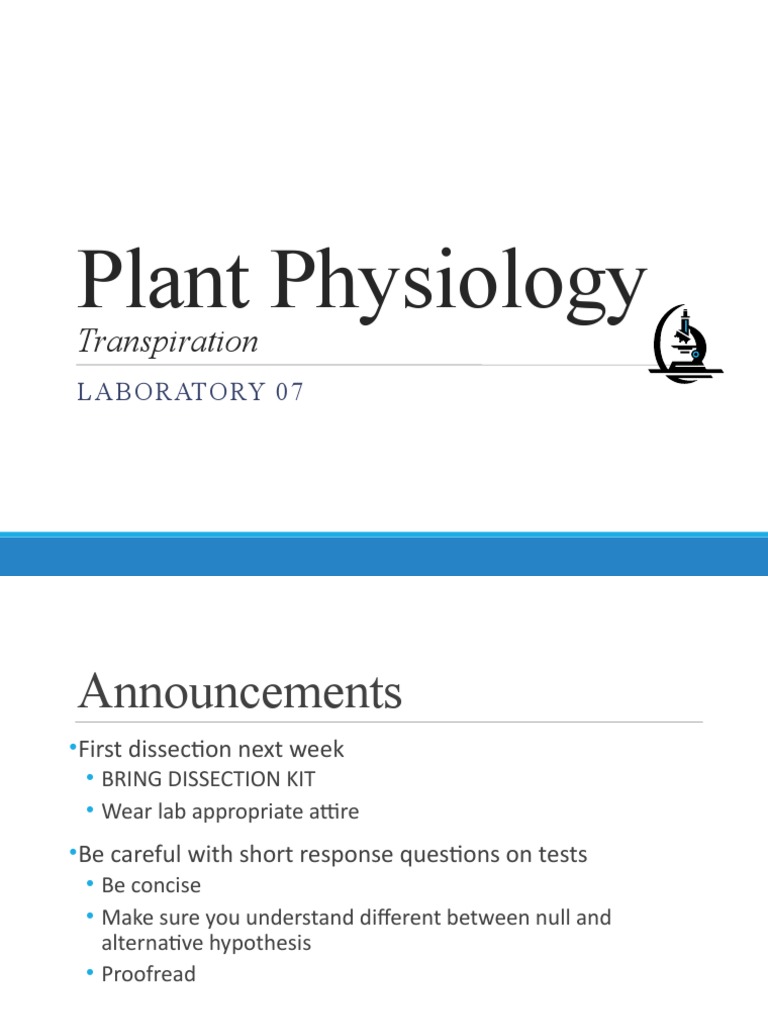 Transpiration Lab: Measuring Plant Water Loss | PDF | Stoma ...