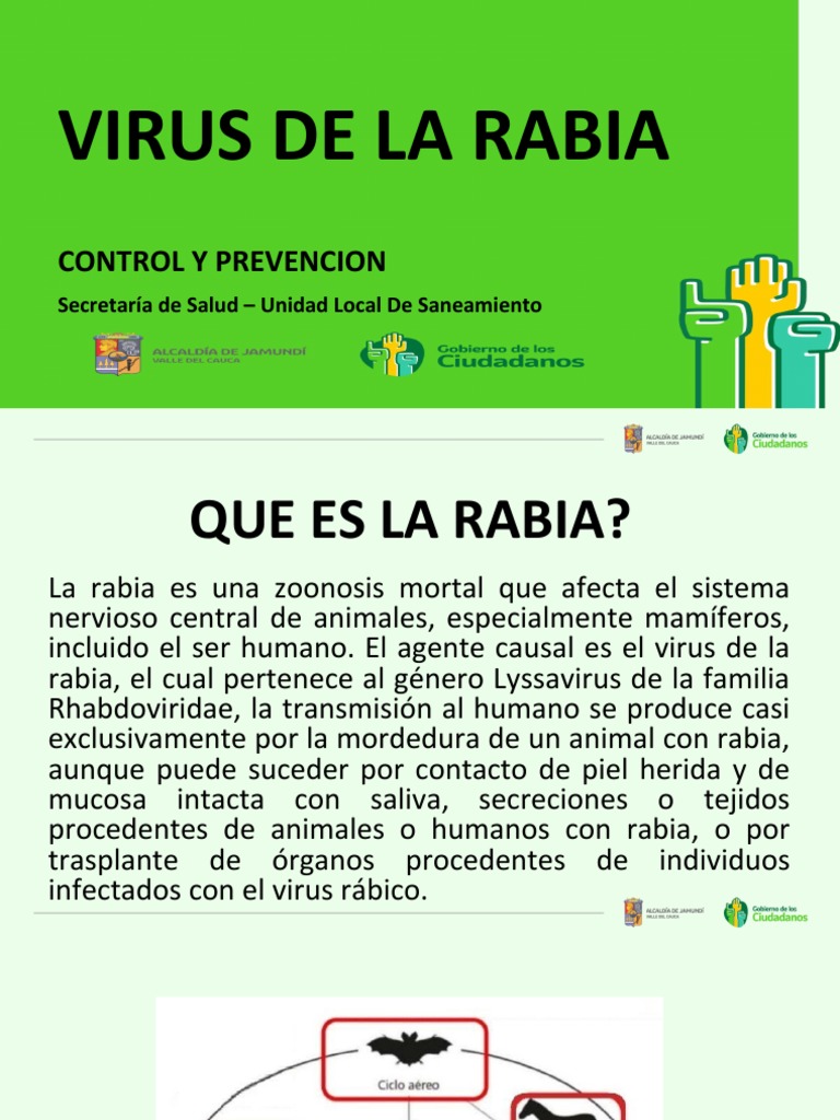 Prevencion y Control de La Rabia | PDF | Rabia | Gatos