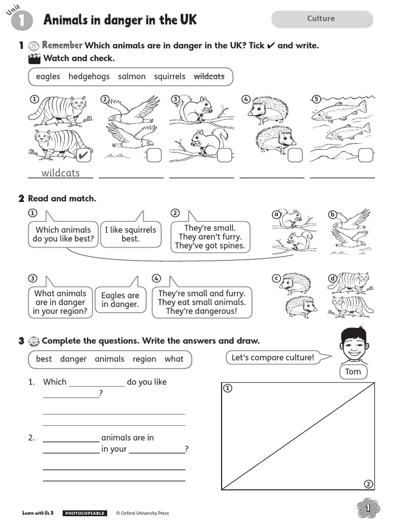 LWU 3 Culture All Units | PDF | Lunch | Cuisine