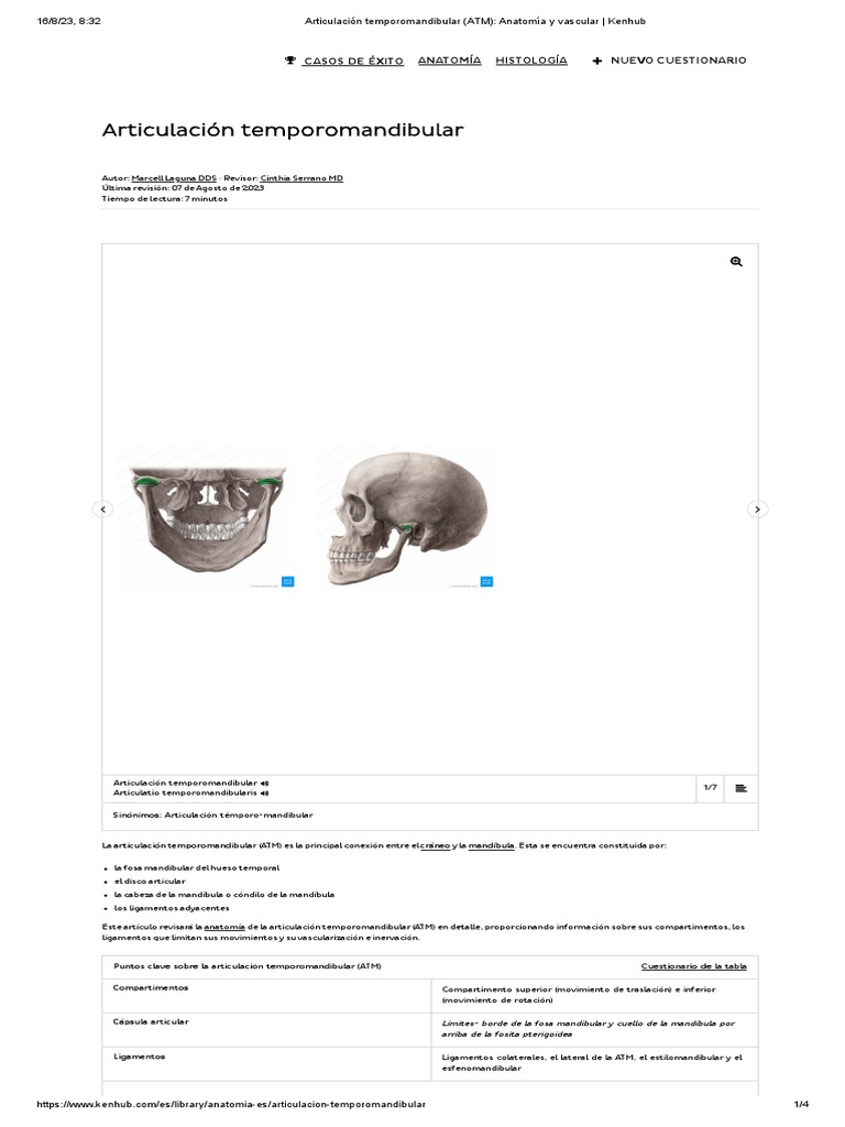 Articulación Temporomandibular (ATM) - Anatomía y Vascular - Kenhub ...