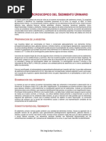 Examen Microscópico de Orina | PDF | Especialidades Medicas | Sistema ...