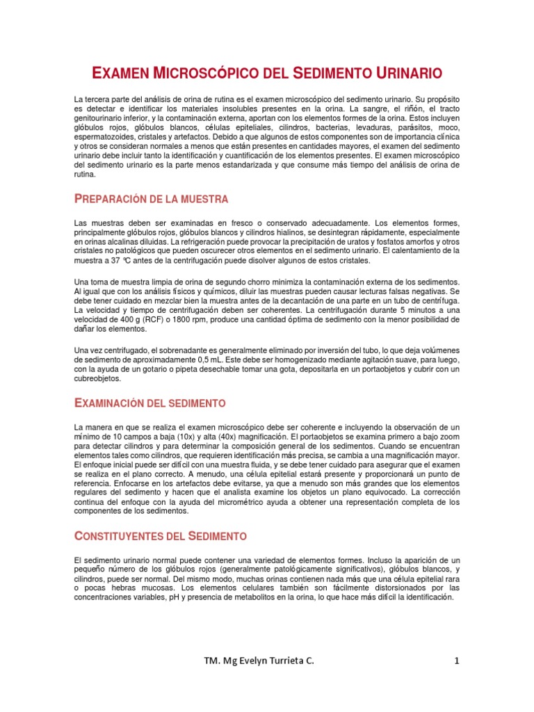 Examen Microscópico Del Sedimento Urinario | PDF | Especialidades ...
