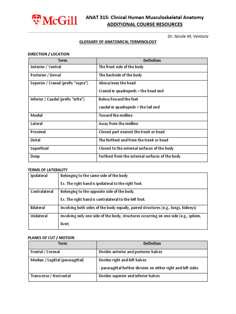 Glossary of Anatomical Terminology | PDF | Anatomical Terms Of Motion ...