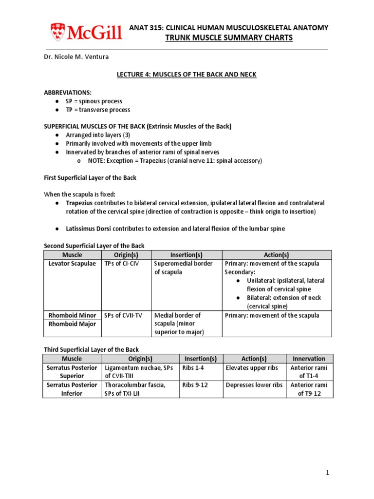 Trunk Muscle Summary Charts | PDF | Abdomen | Vertebral Column