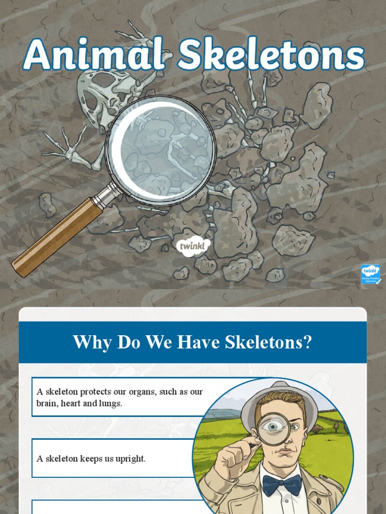Animal Skeleton PowerPoint | PDF