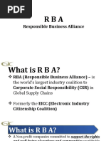 RBA-RBA Validated Audit Process Operations Manual 8.0-Code Interpretation-69 | PDF