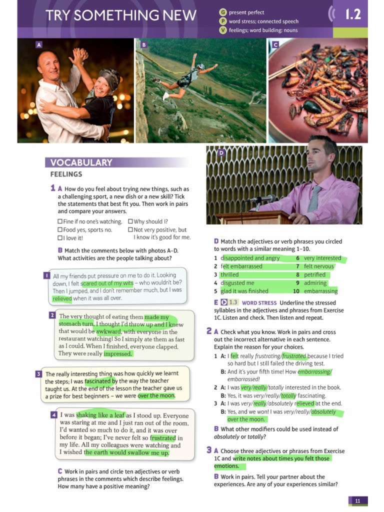 Compact FCE Feelings Lesson | PDF