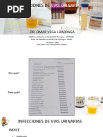 GPC Ivu | PDF | Infección del tracto urinario | Cuidado de la salud