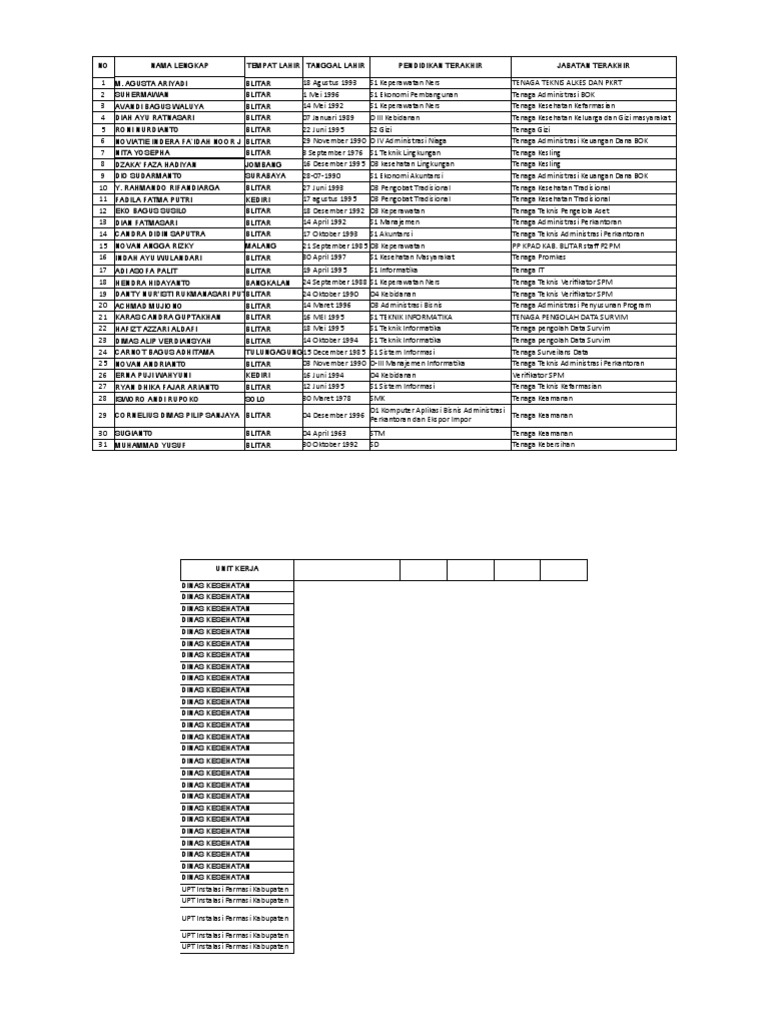 Data Non ASN Dinkes | PDF