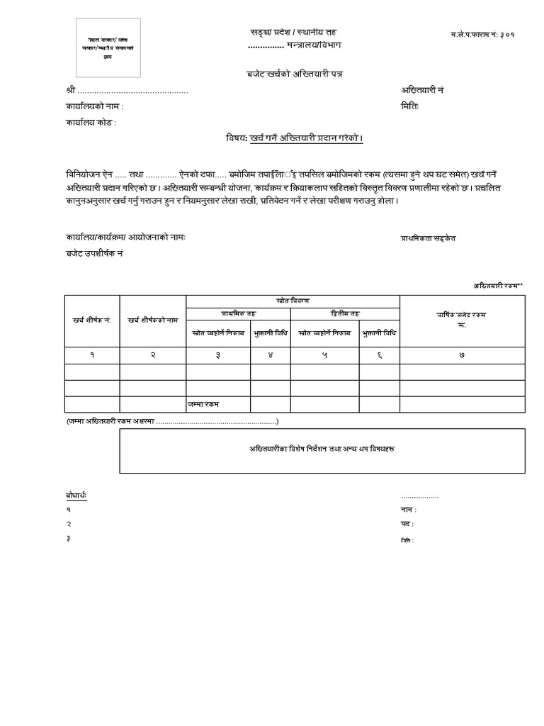 300 Budget Related Formats Final | PDF