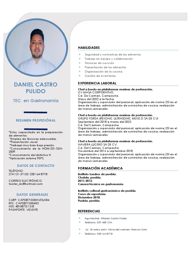 Formato CV Dani 2 | PDF
