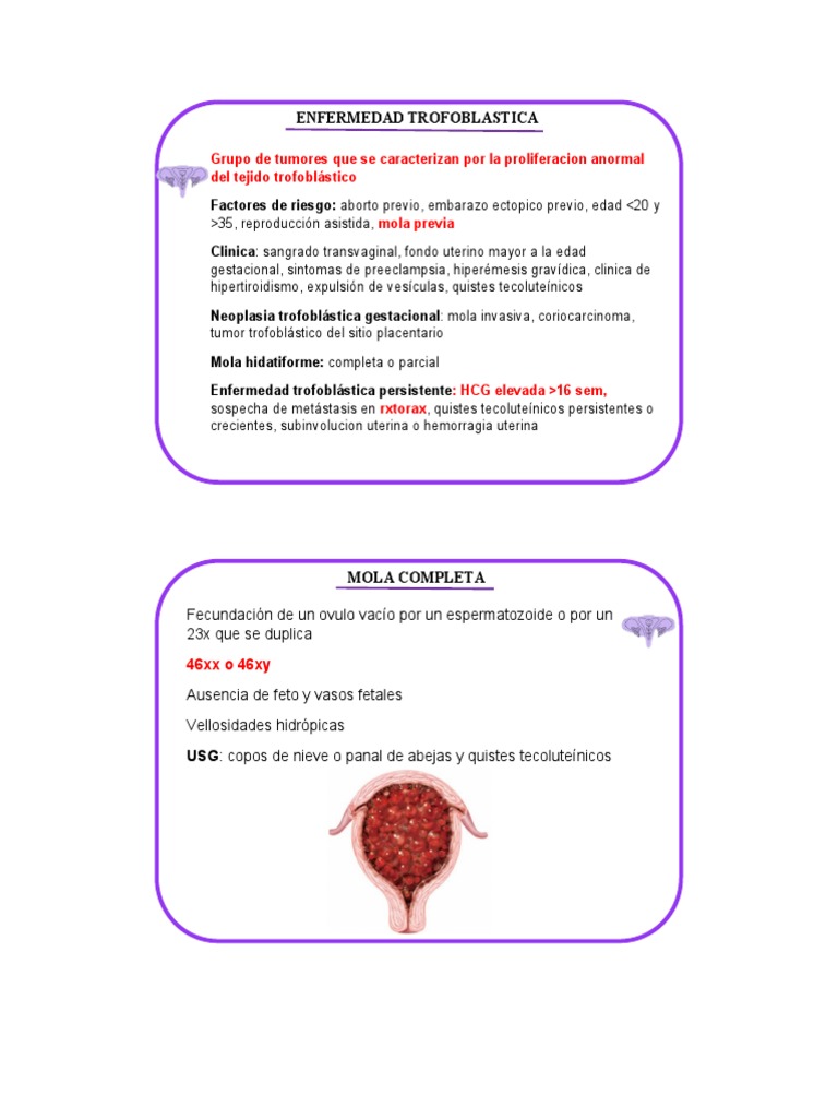 Enfermedad Trofoblástica del Embarazo | PDF