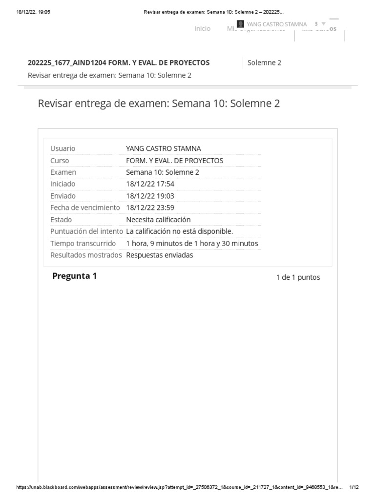 Revisar_entrega_de_examen__Semana_10__Solemne_2_____202225.._.pdf (1) | PDF