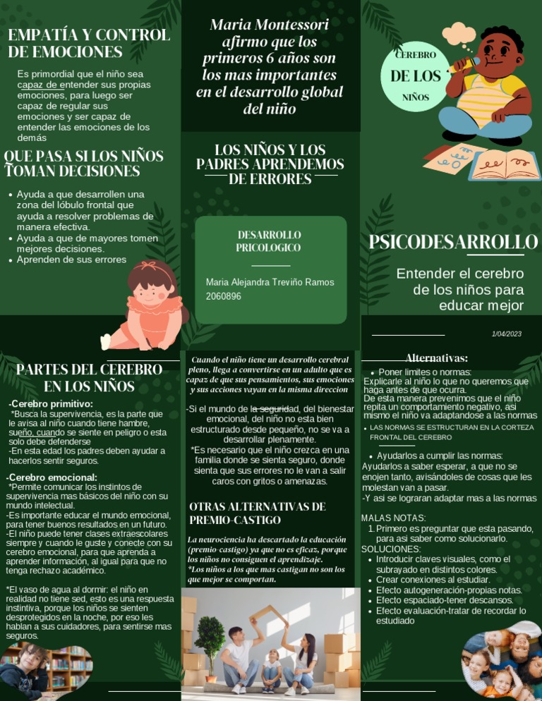 Entender El Cerebro De Los Niños Pdf Las Emociones Cerebro