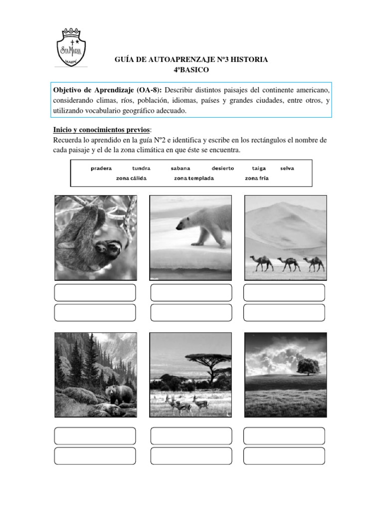 Relieves y Paisajes de América | PDF | Meseta | Terreno