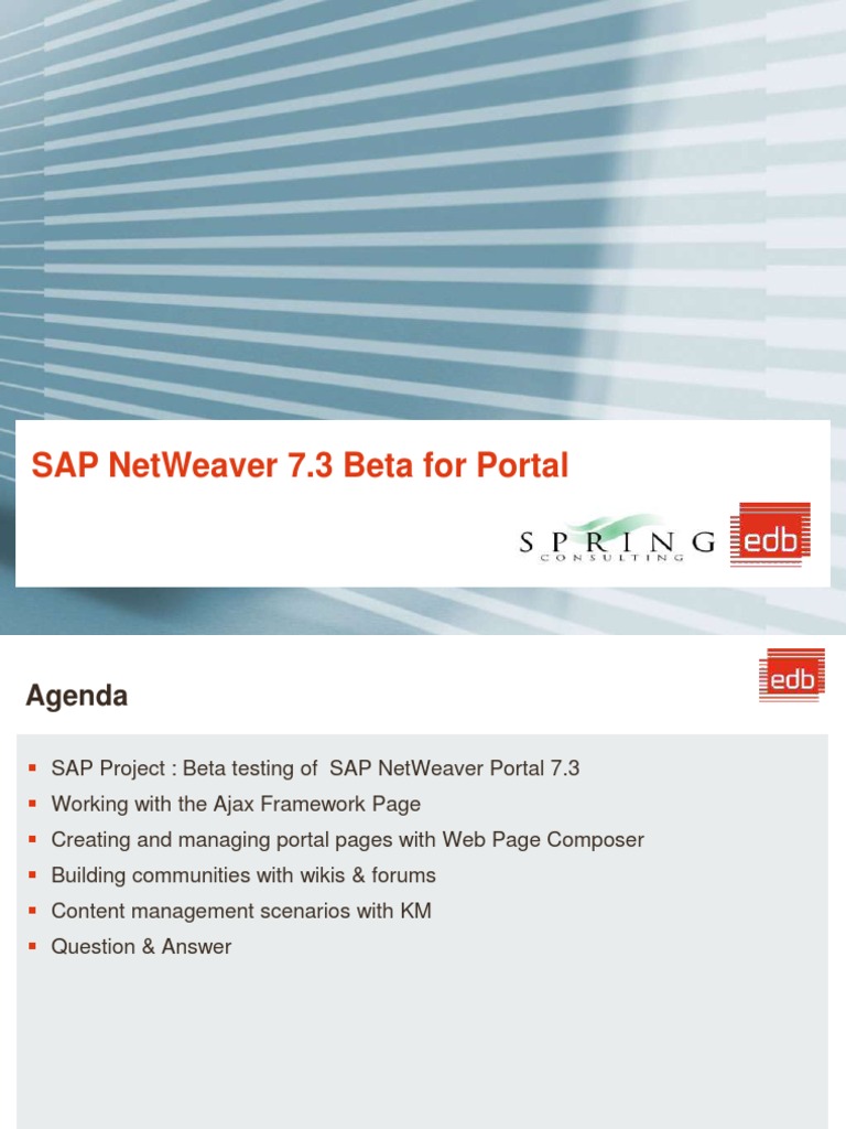 SAP NetWeaver 7.3 Beta Portal Testing | PDF | Ajax (Programming) | Wiki