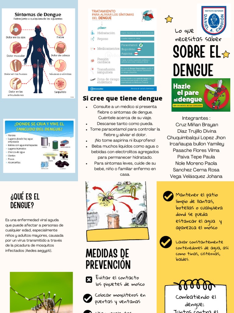 Triptico Del Dengue | PDF | Enfermedades y trastornos | Enfermedades ...