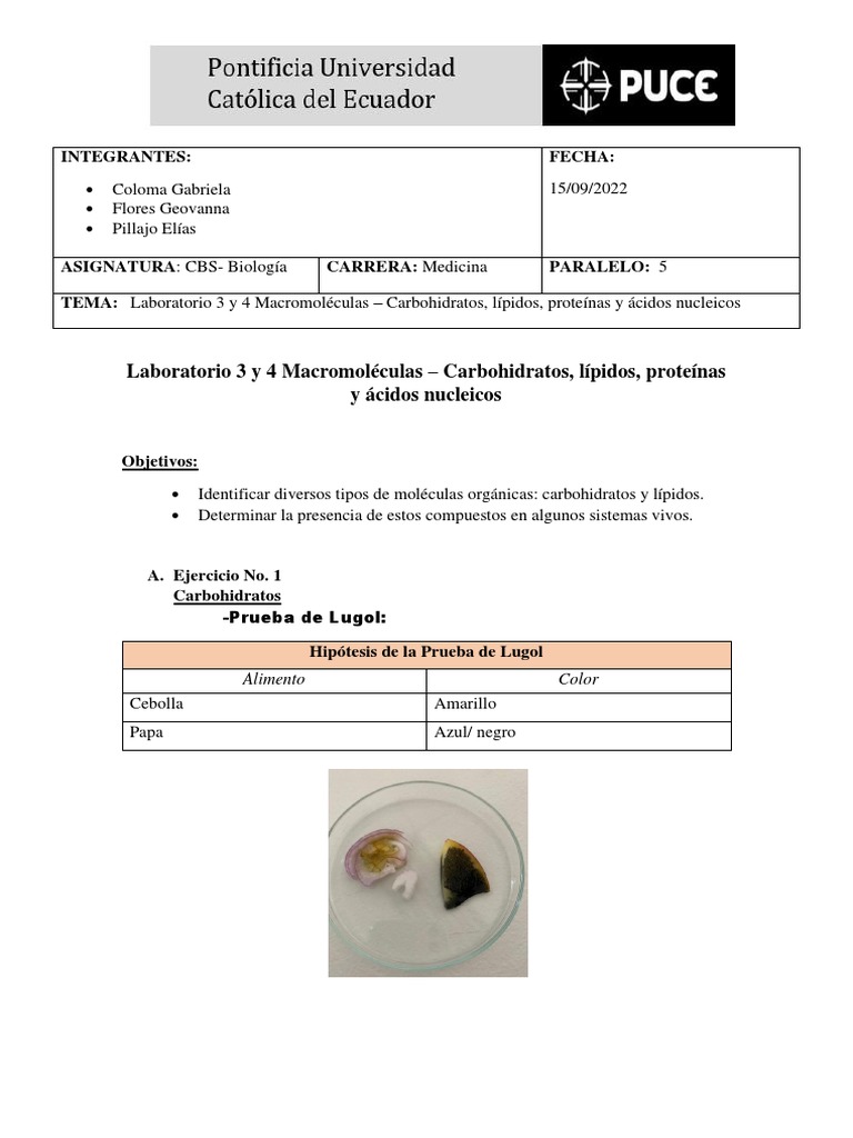 LAB 3-4 Macromoléculas | PDF | Carbohidratos | Color LAB 3-4 Macromoléculas | PDF | Carbohidratos | Color